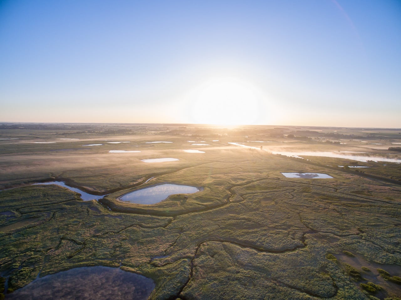 BSA Event - Extramorphose